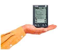 Palm Pilot