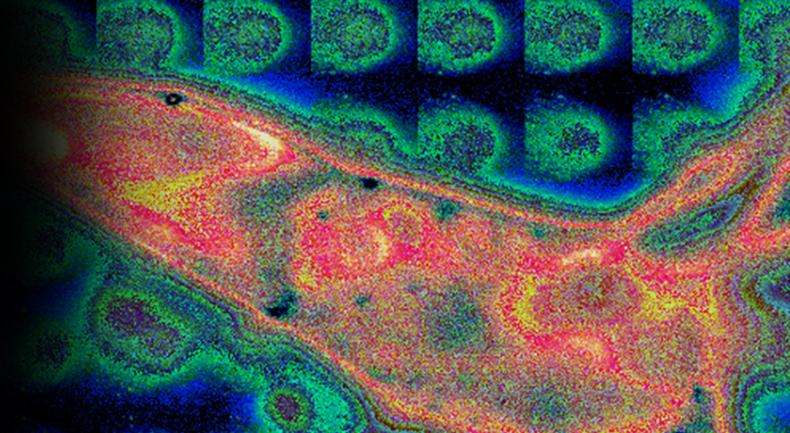 Applied Physics Program