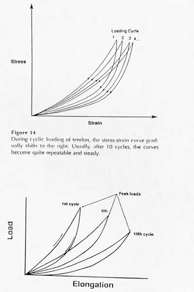 BME 332: Ligament/Tendon Structure-Function