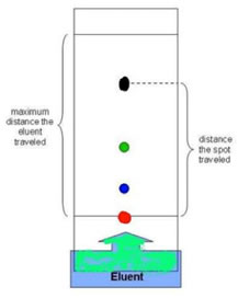 Untitled Document [websites.umich.edu]