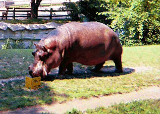 Index [websites.umich.edu]