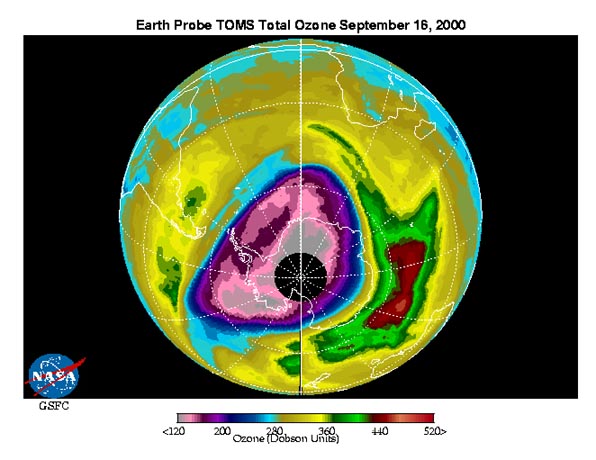 Ozone Depletion Web Module