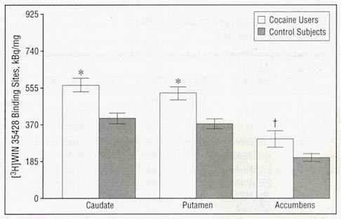 Affective Neuropharmacology Lab: Cocaine Effects on Dopamine Neurons