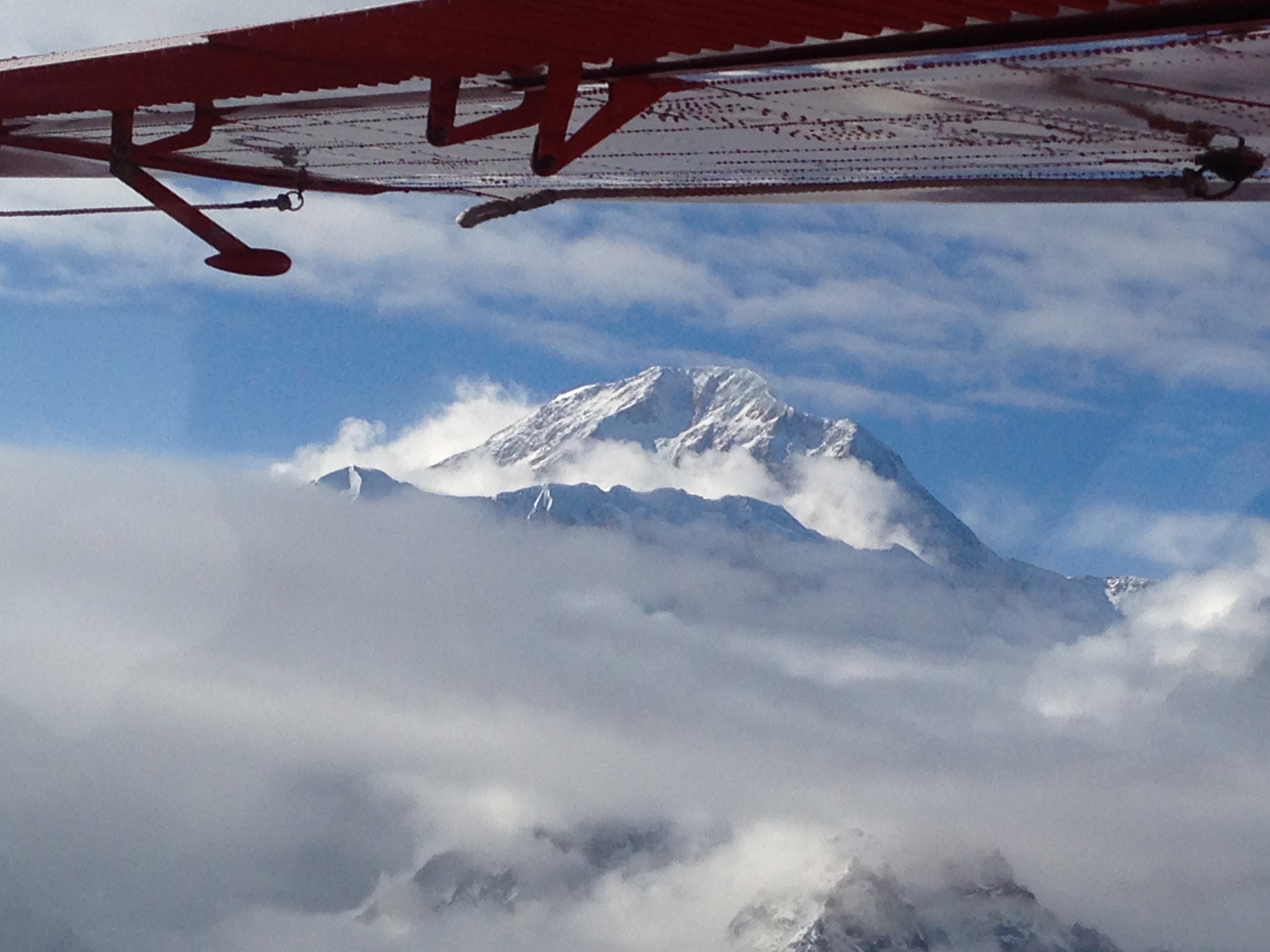 Douglass Houghton Scholars Program