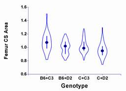 Gene mapping projects