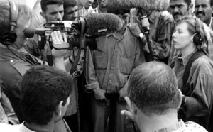 UM Knight Wallace Fellows