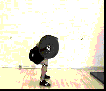 MVS 330 Project Title