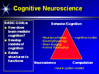 Cognitive Neuroscience