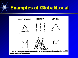Examples of Global/Local