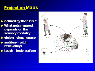 Projection Maps