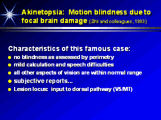 Akinetopsia: Motion blindness due to focal brain damage (Zihl and ...