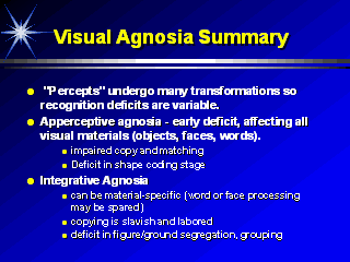 Visual Agnosia Summary
