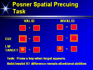 Posner Spatial Precuing Task