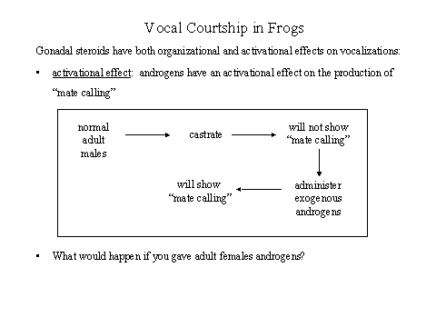 Vocal Courtship in Frogs