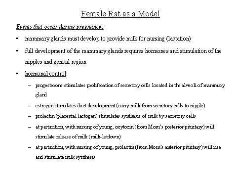 Female Rat as a Model