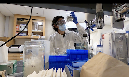 Yang LAB