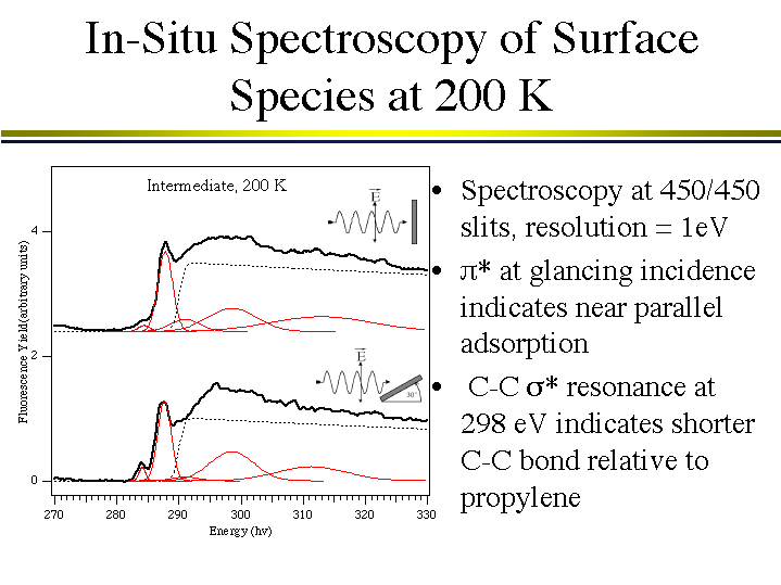 In-Situ Spectroscopy of Surface Species at 200 K