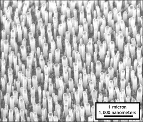 This project is conducted by the joint efforts of